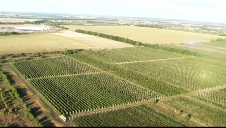 The use of UAV for geothermal exploitation monitoring: Khankala field ... The use of UAV for geothermal exploitation monitoring: Khankala field ...